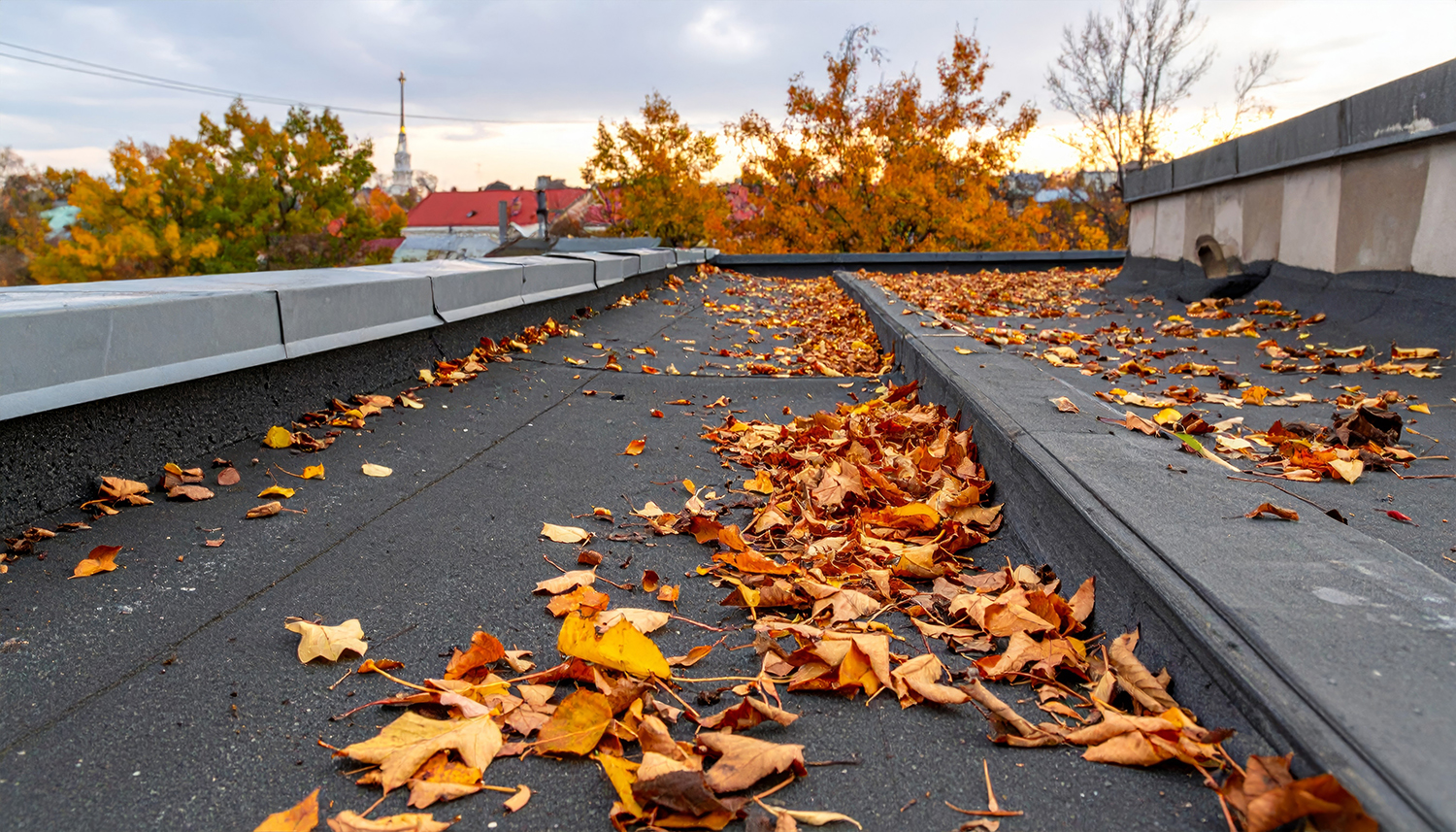 Fall Commercial Roof Maintenance: Save Money and Prevent Winter Damage